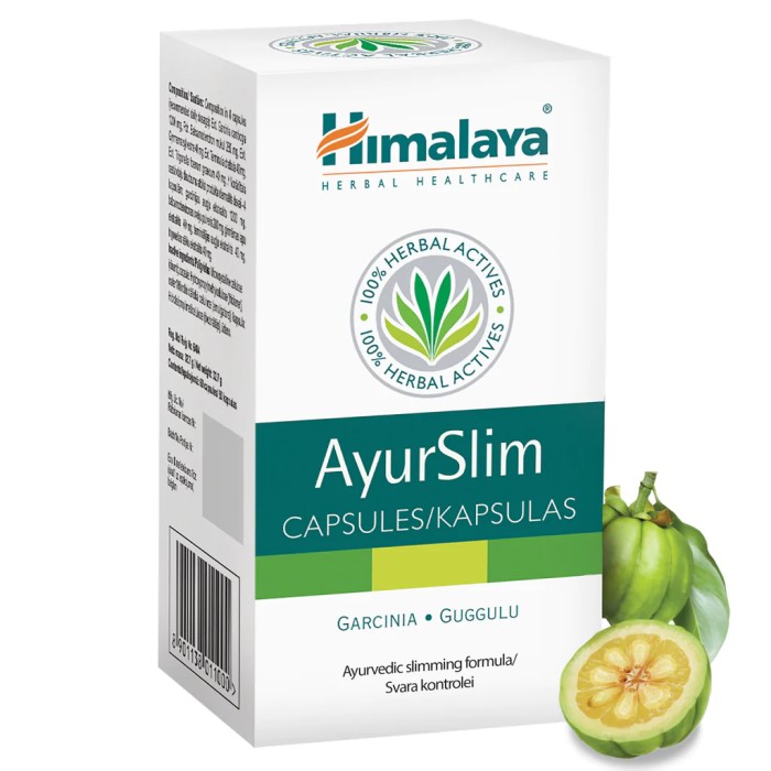 Himalaya Ayurslim | Weight Loss | Predator Nutrition | Ayurvedic ...
